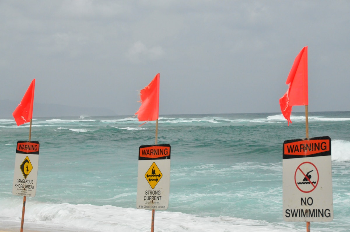 Beach Flag Colors: What Each Flag Means (Guide) | Beach Verdict